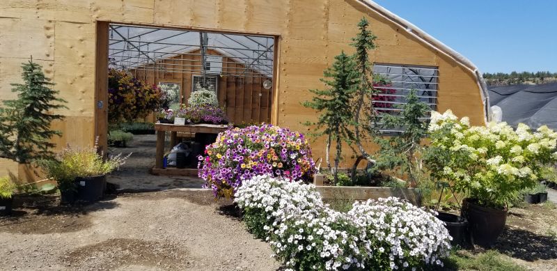 Perennials & Shrubs Gallery
