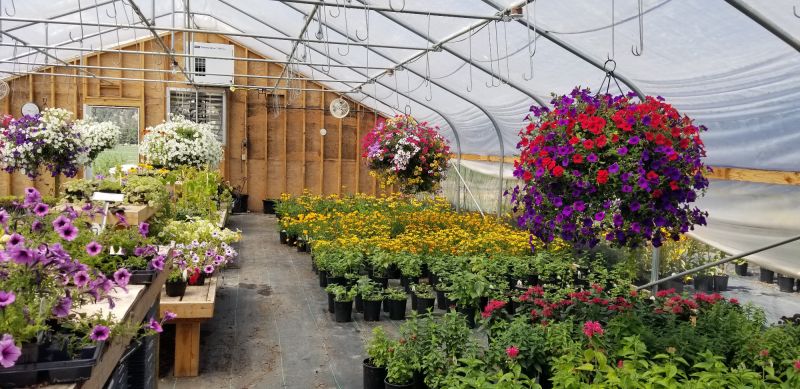 Perennials & Shrubs Gallery